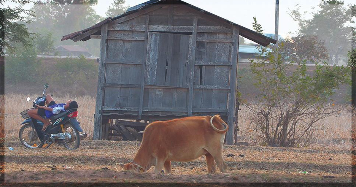 ‘Back Home’ Documentary Review: Tsai Ming-Liang’s Travelogue in Laos